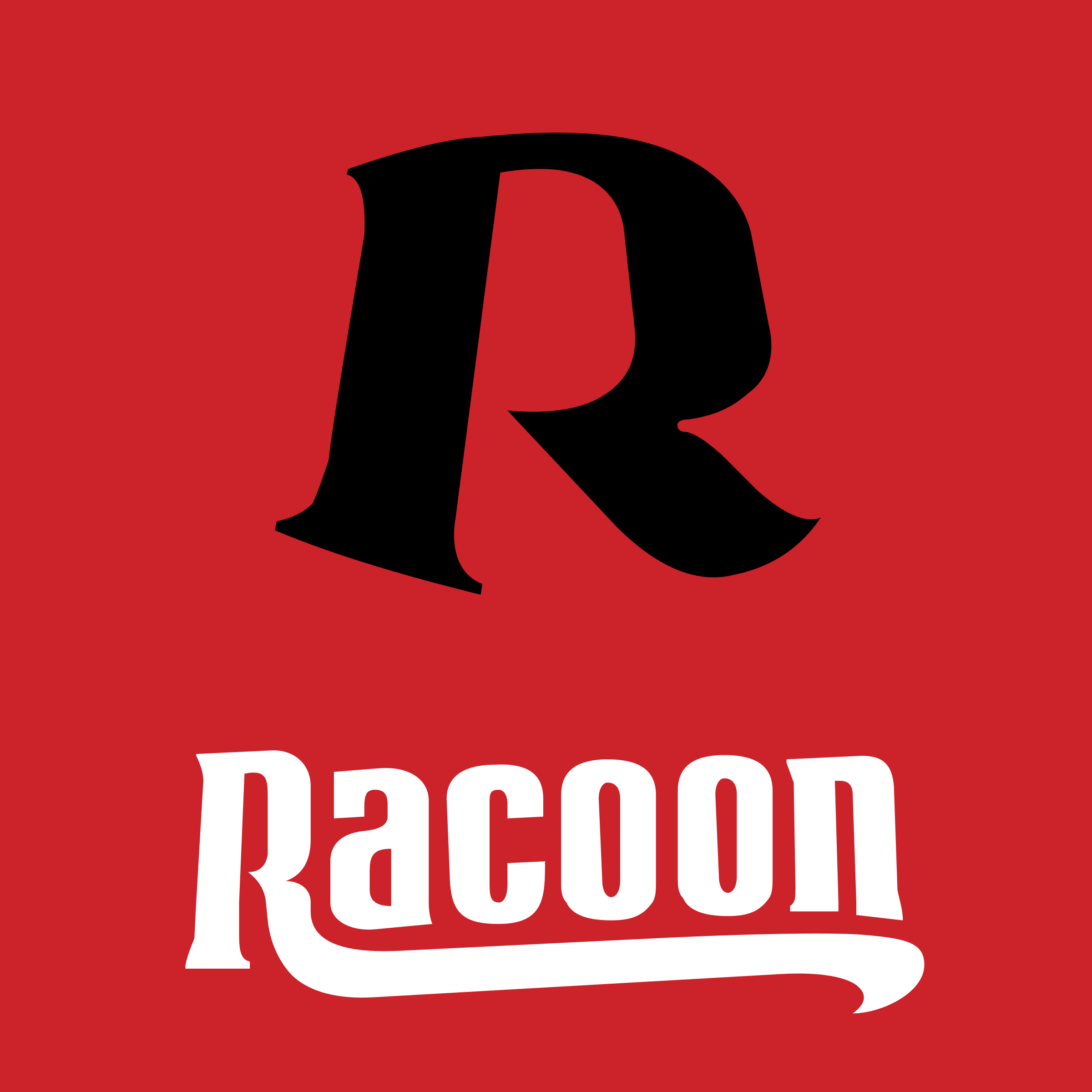 Racoon Logo PNG Transparent & SVG Vector - Freebie Supply