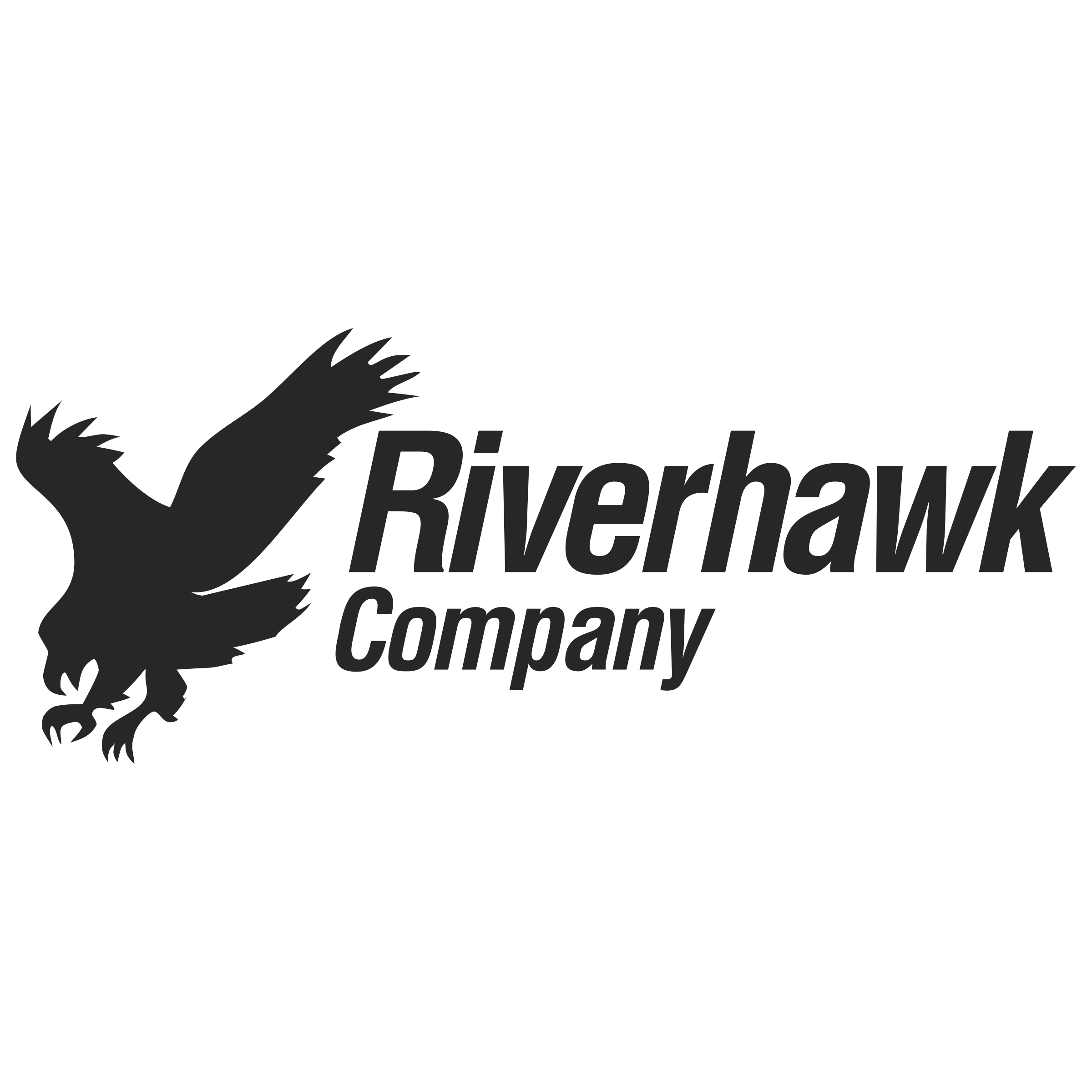 Riverhawk Logo
