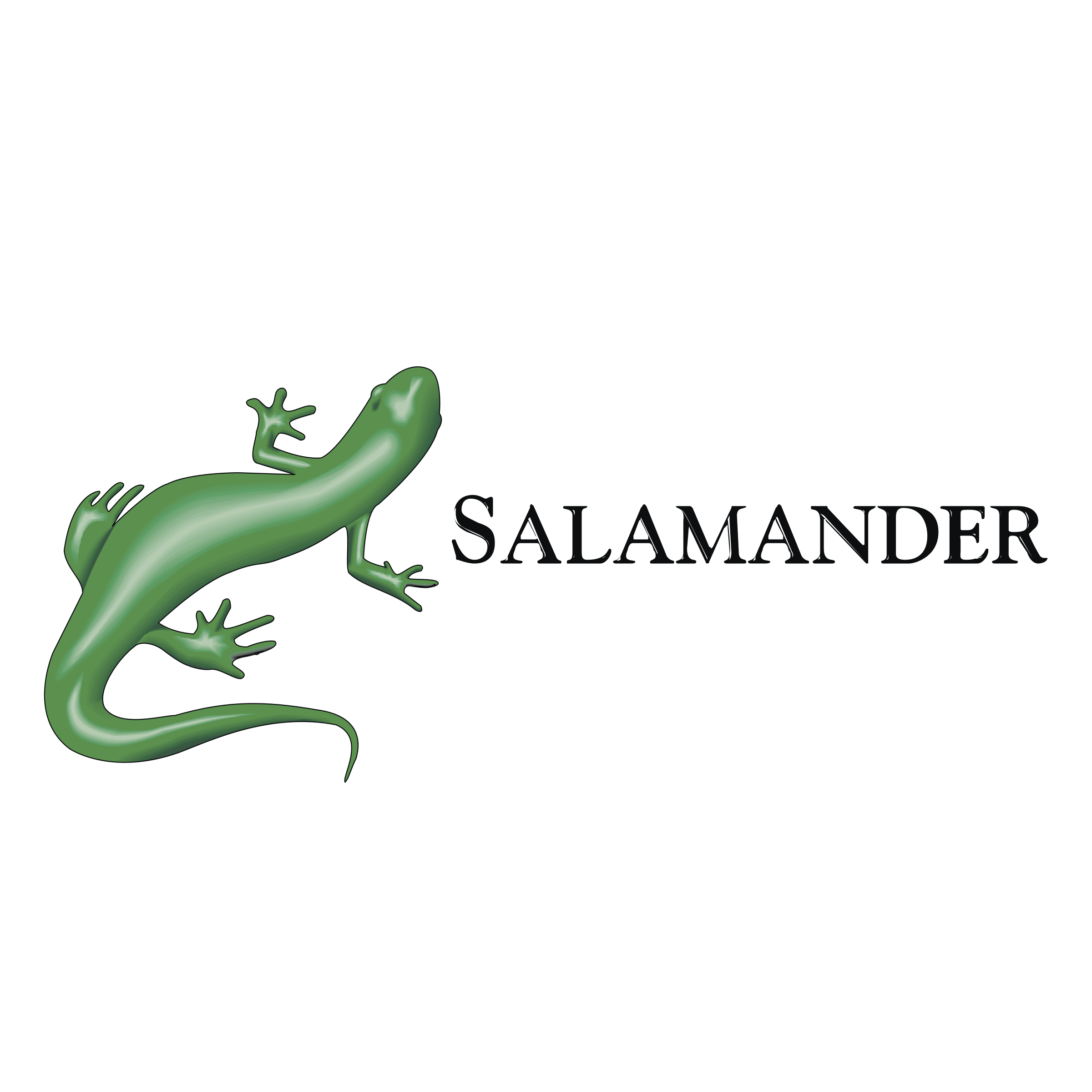 Salamander Logo PNG Transparent & SVG Vector - Freebie Supply
