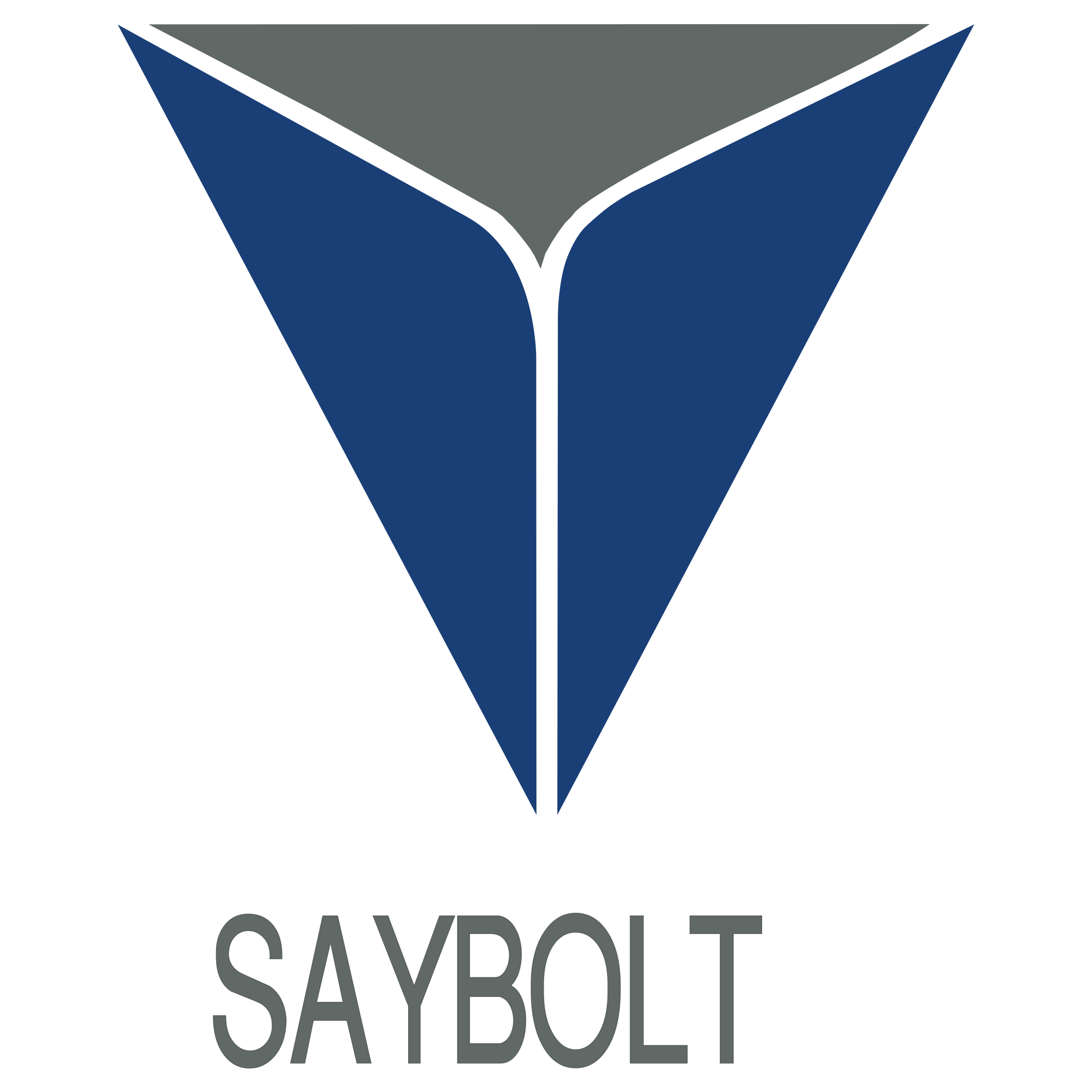 Saybolt Logo PNG Transparent & SVG Vector - Freebie Supply