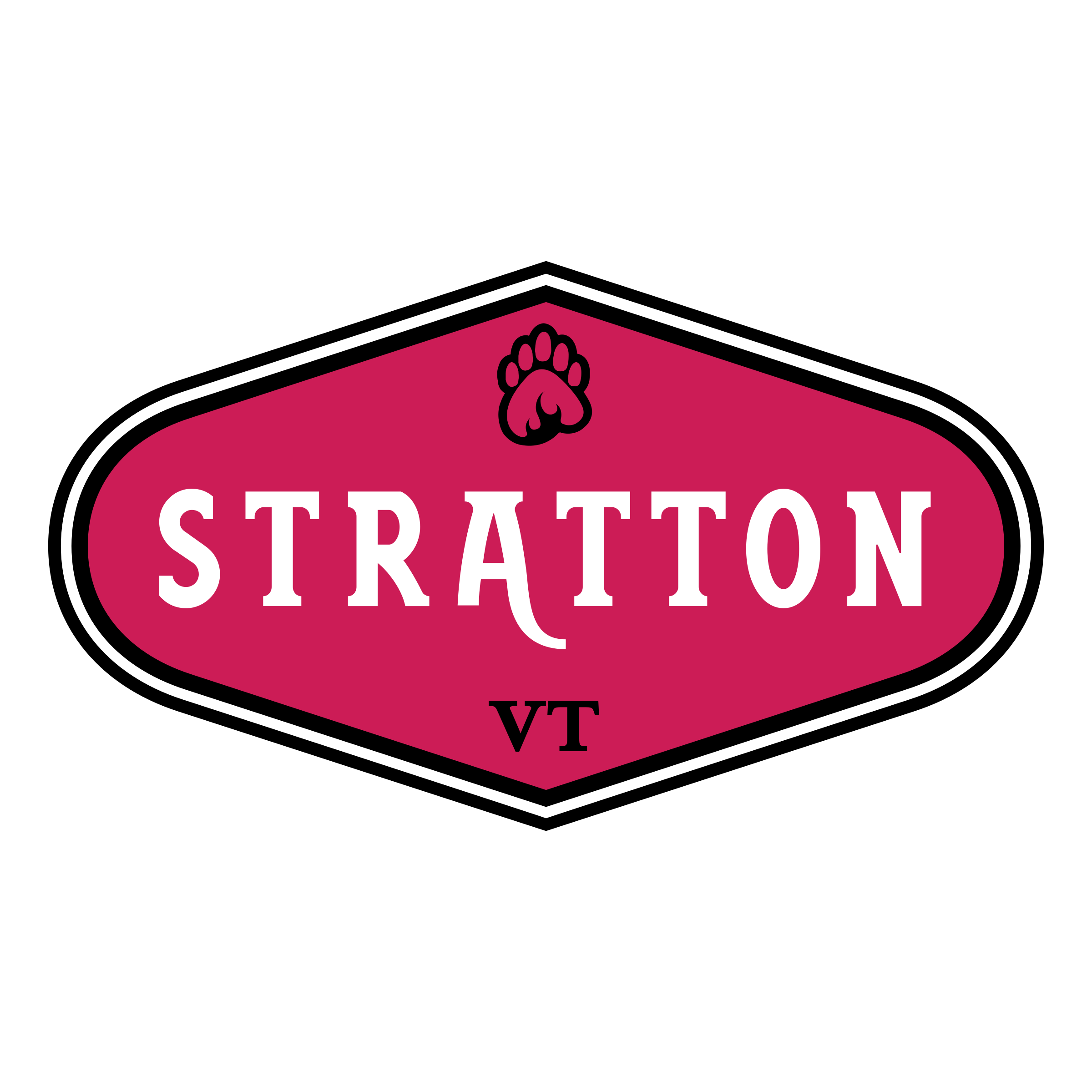 Stratton Logo Create The Next Logo For Stratton Mountain Winter Sports