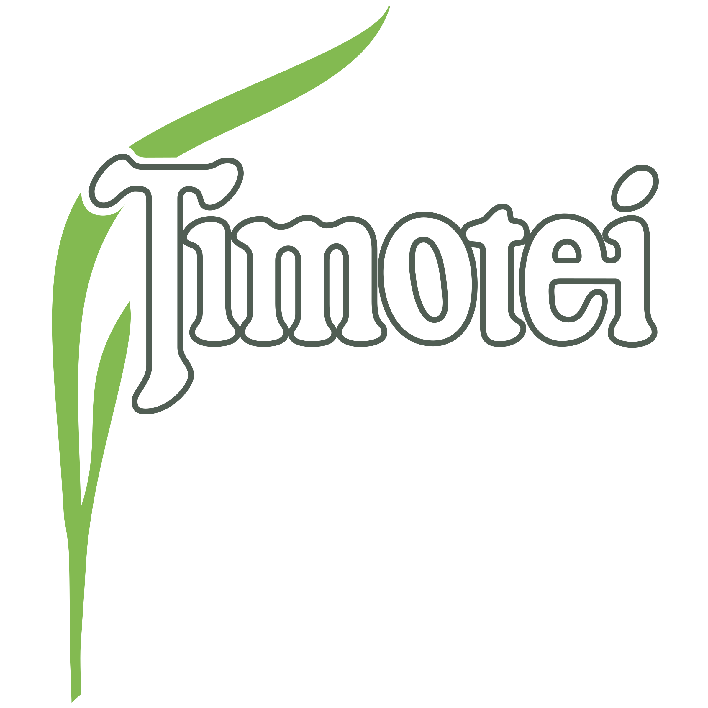 Timotei Logo