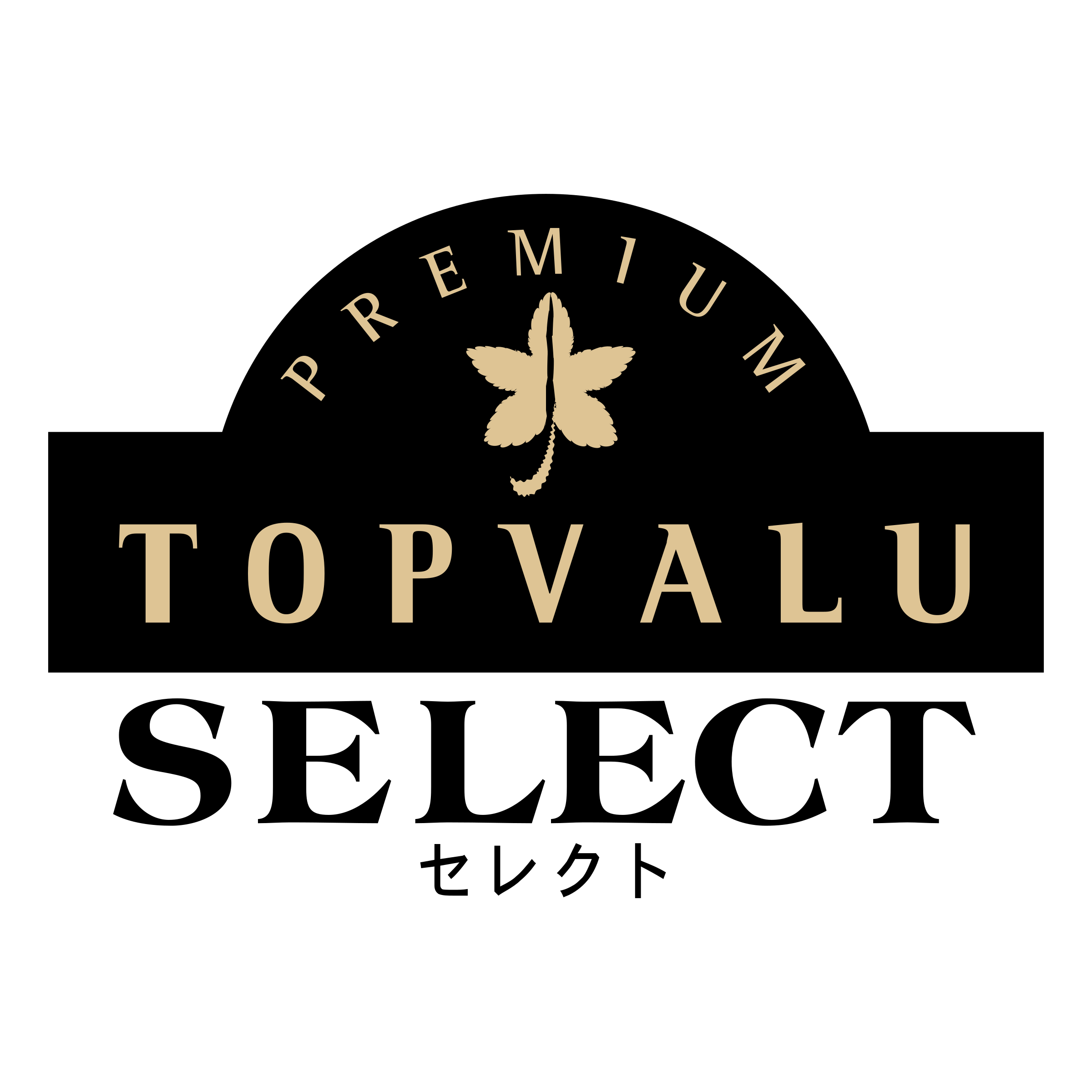 Topvalu Logo