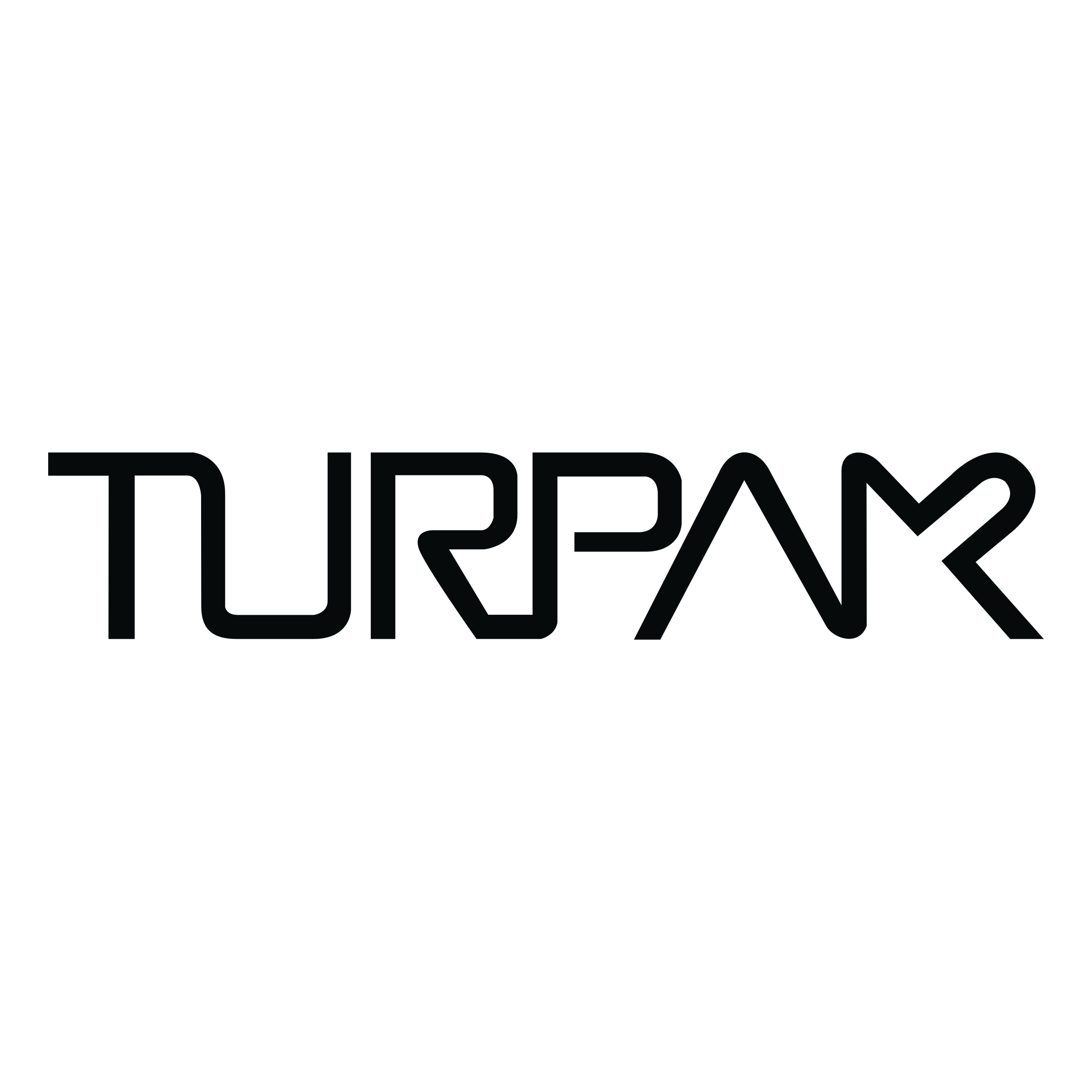 Turpak Logo PNG Transparent & SVG Vector - Freebie Supply