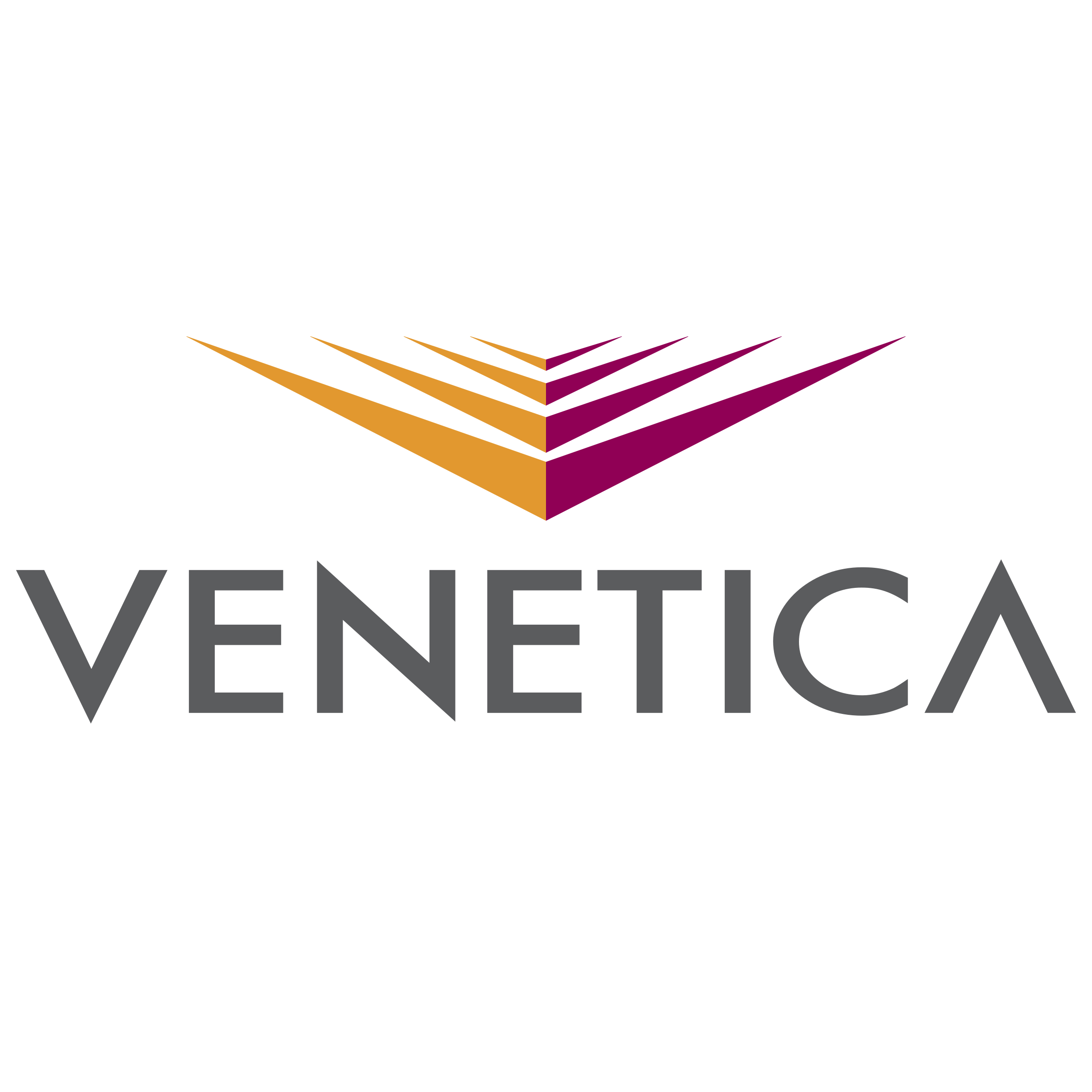 Vertica Logo