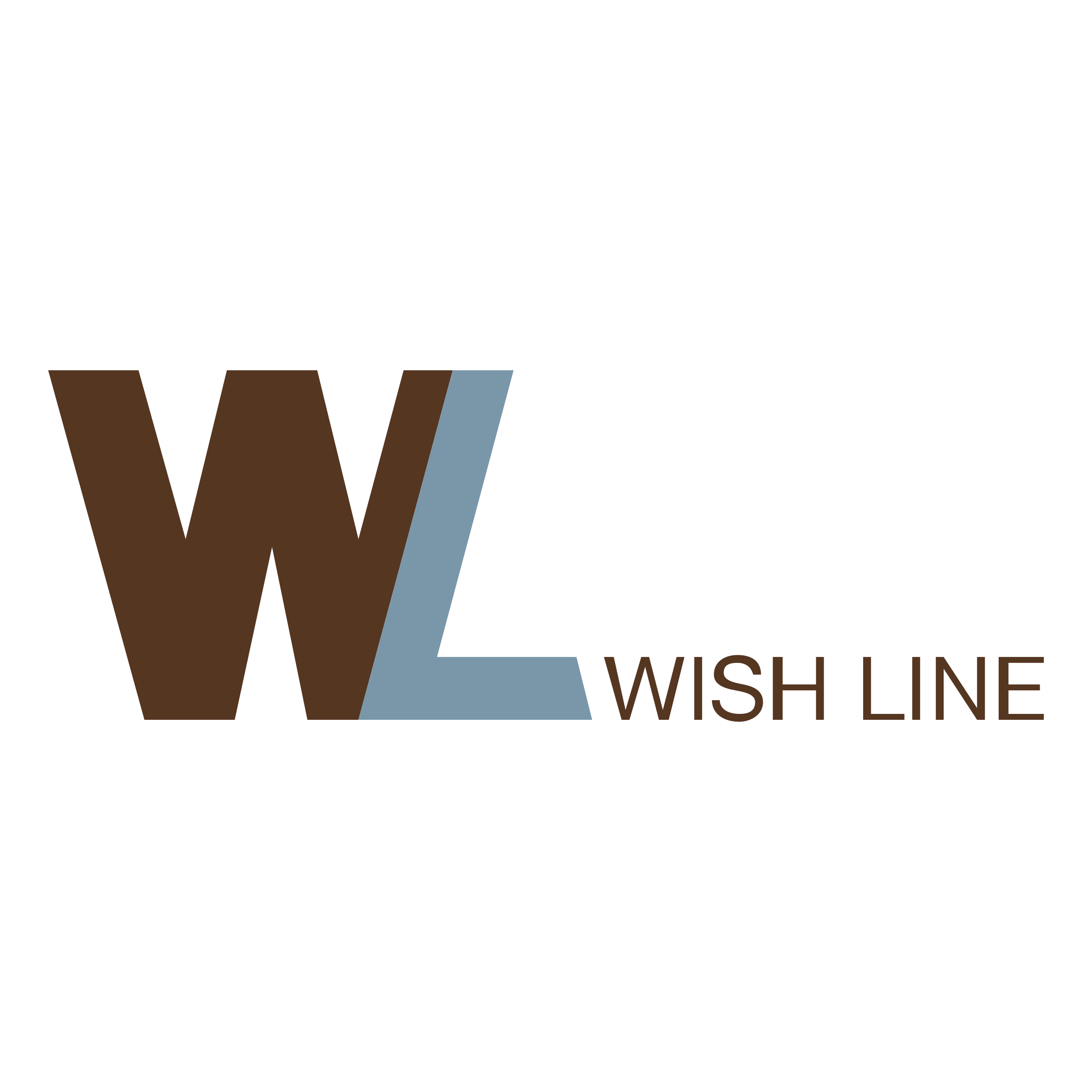 Make A Wish Png Logo