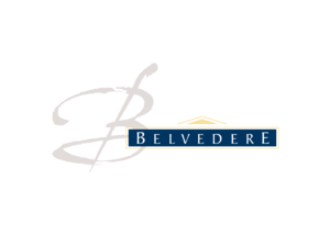 Belron 01 Logo PNG Transparent & SVG Vector - Freebie Supply