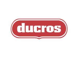 Divage Logo PNG Transparent & SVG Vector - Freebie Supply