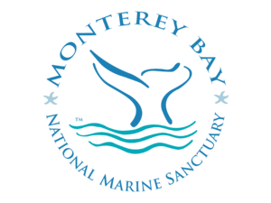 MI VA Logo PNG Transparent & SVG Vector - Freebie Supply