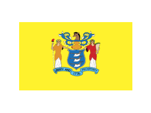 Nelfo Logo PNG Transparent & SVG Vector - Freebie Supply