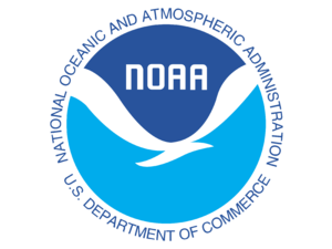 New World Logo PNG Transparent & SVG Vector - Freebie Supply