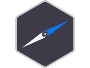 Webkit Logo