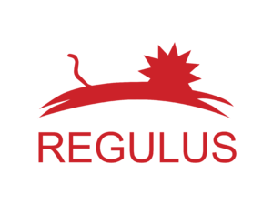 RAA Logo PNG Transparent & SVG Vector - Freebie Supply