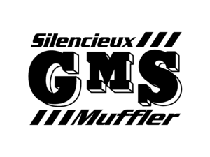 Stonesoft Logo PNG Transparent & SVG Vector - Freebie Supply