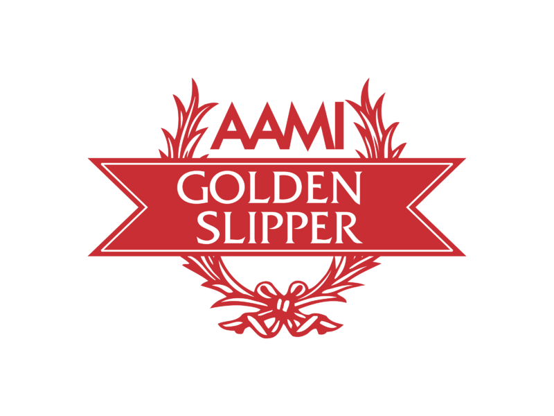 AAMI Logo PNG Transparent & SVG Vector - Freebie Supply