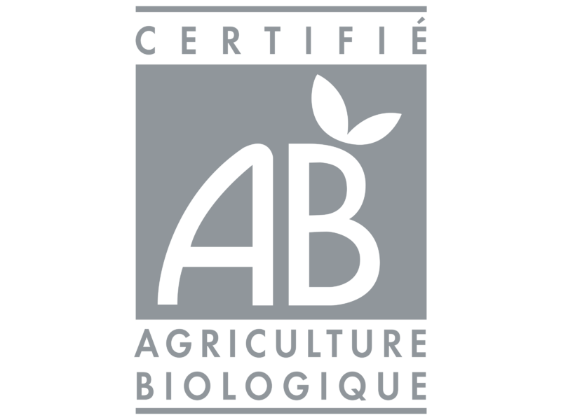 AB 01 Logo PNG Transparent & SVG Vector - Freebie Supply