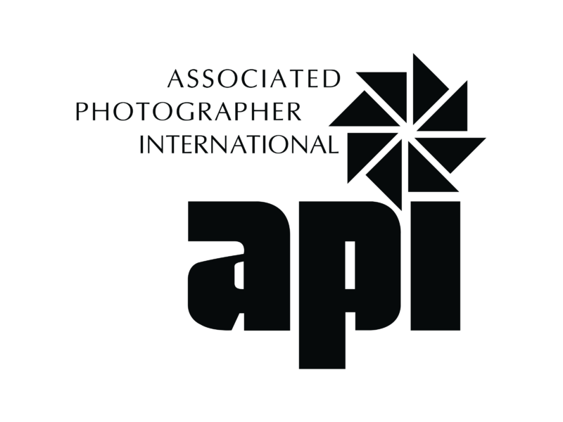 API 7207 Logo PNG Transparent & SVG Vector - Freebie Supply