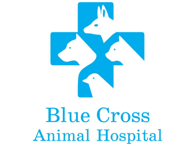 Blue Cross 5733 Logo PNG Transparent & SVG Vector - Freebie Supply