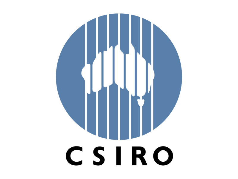 Casco Logo PNG Transparent & SVG Vector - Freebie Supply