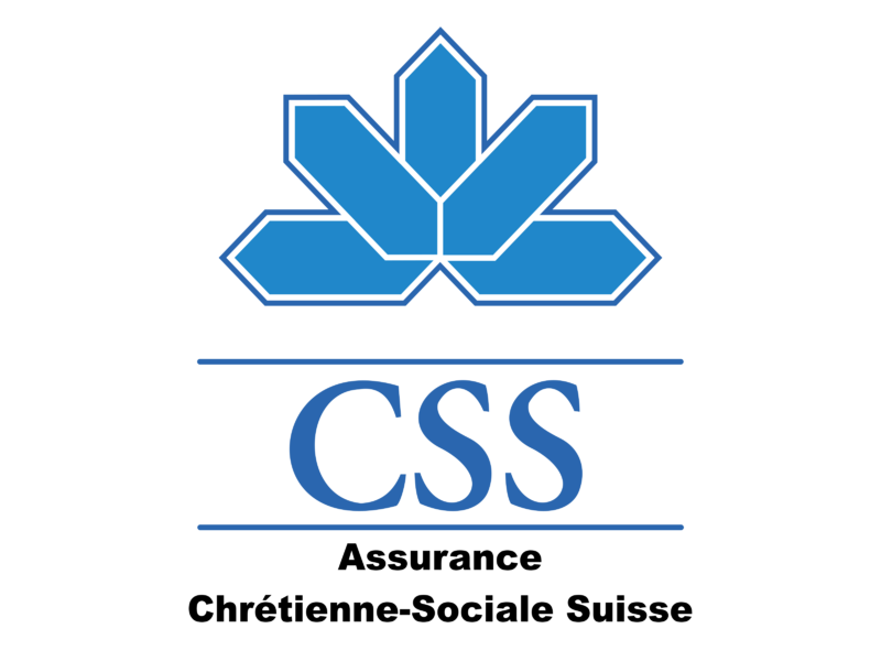 CSS Logo PNG Transparent & SVG Vector - Freebie Supply