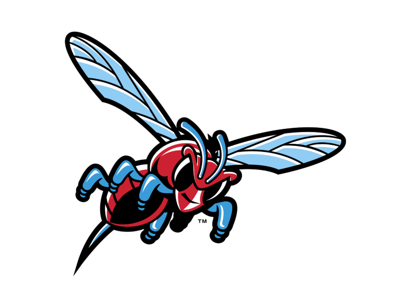 Delaware State Hornets Logo PNG Transparent & SVG Vector - Freebie Supply