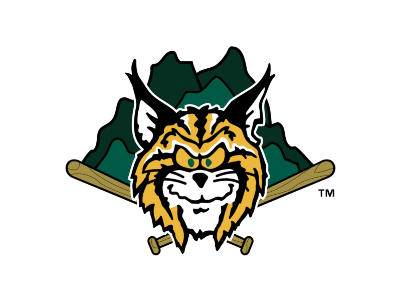Lynchburg Hillcats Logo PNG Transparent & SVG Vector - Freebie Supply