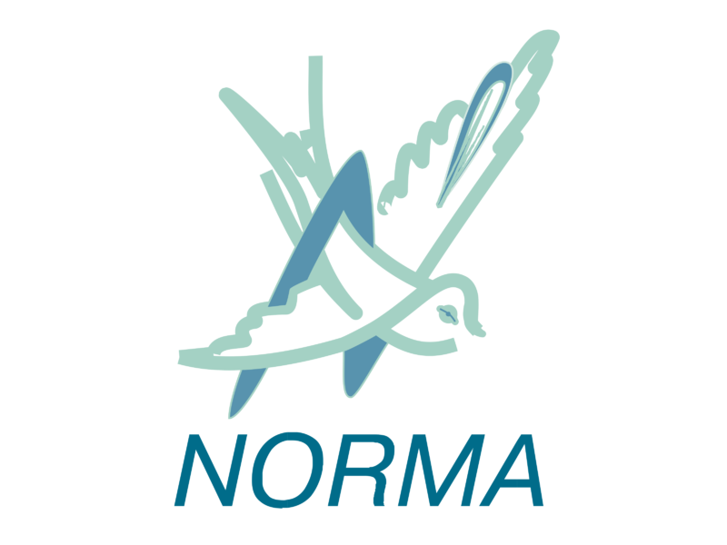 Norma Logo PNG Transparent & SVG Vector - Freebie Supply