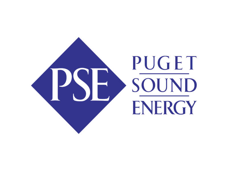 PSE Logo PNG Transparent & SVG Vector - Freebie Supply