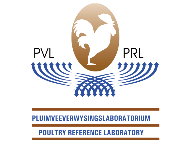 PVL PRL Logo PNG Transparent & SVG Vector - Freebie Supply