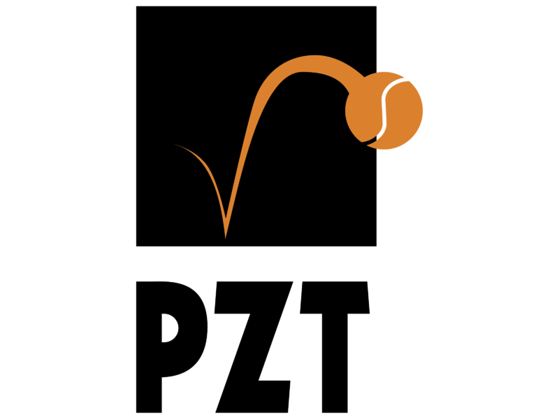 PZT Logo PNG Transparent & SVG Vector - Freebie Supply