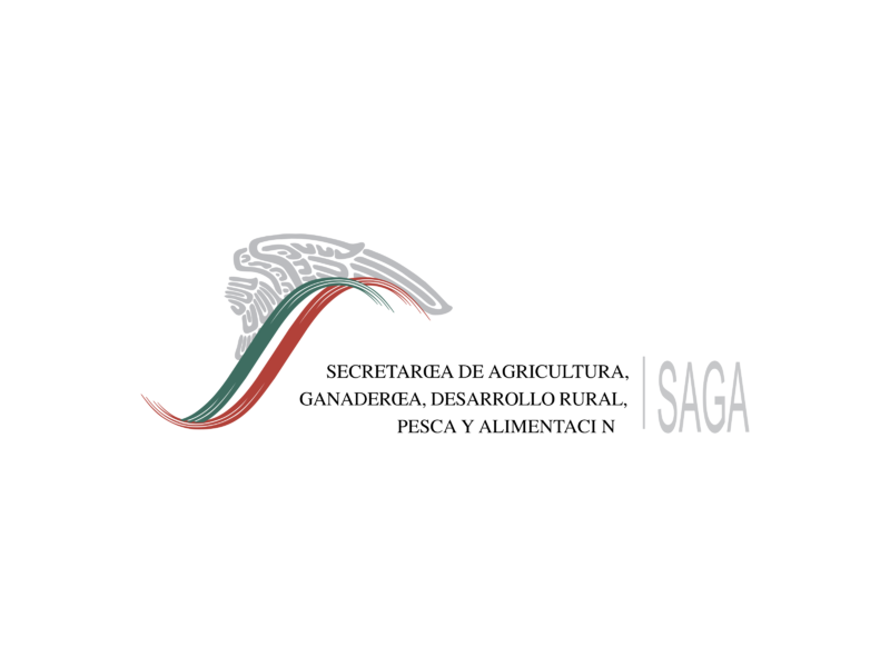 Saga Logo