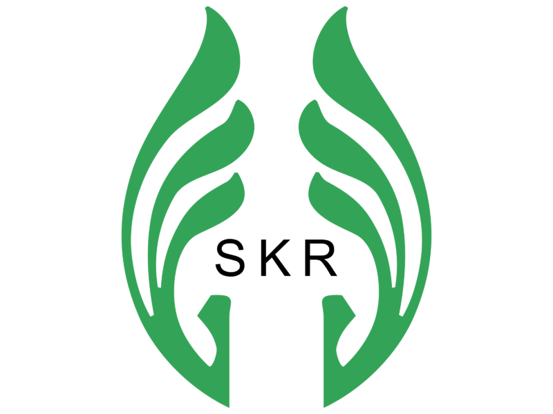 SKR Logo PNG Transparent & SVG Vector - Freebie Supply
