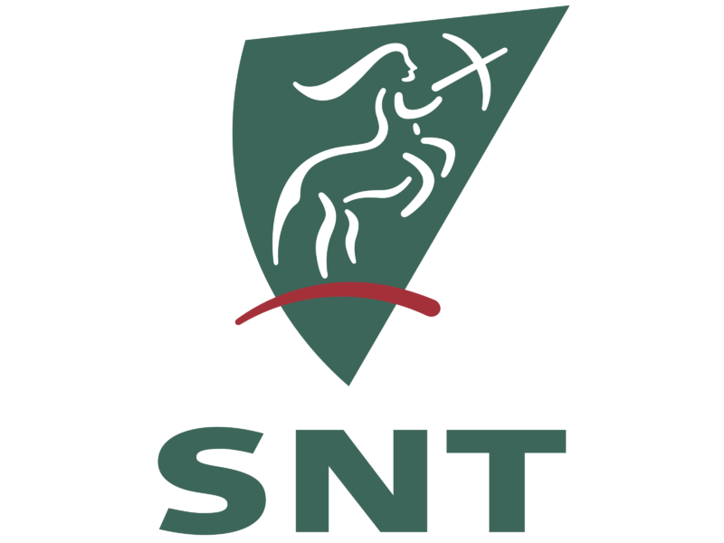 SNT Group Logo PNG Transparent & SVG Vector - Freebie Supply