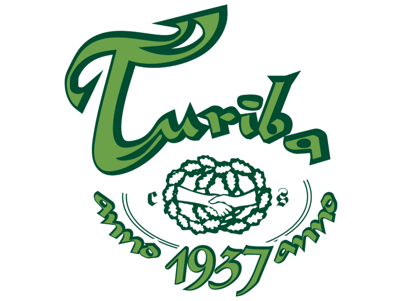 Turiba Logo PNG Transparent & SVG Vector - Freebie Supply