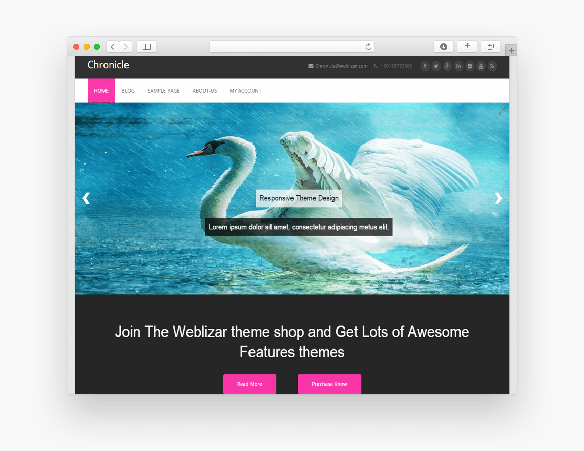 Chronicle - Free Ecommerce WordPress Theme - Freebie Supply