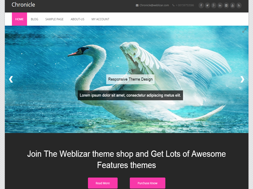 Chronicle - Free Ecommerce WordPress Theme - Freebie Supply