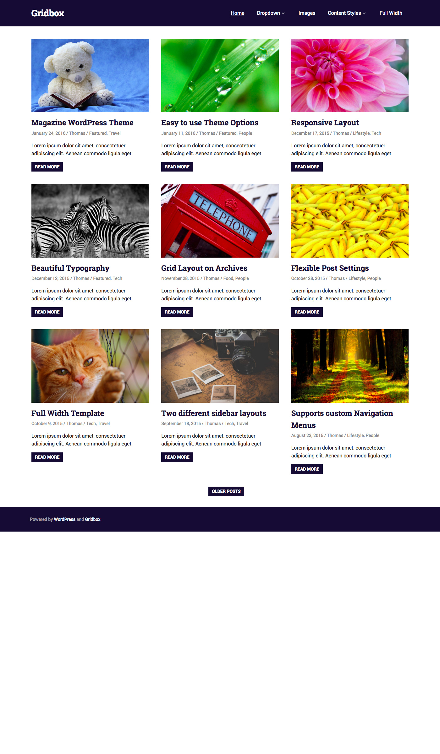 Gridbox - Free Magazine WordPress Theme - Freebie Supply