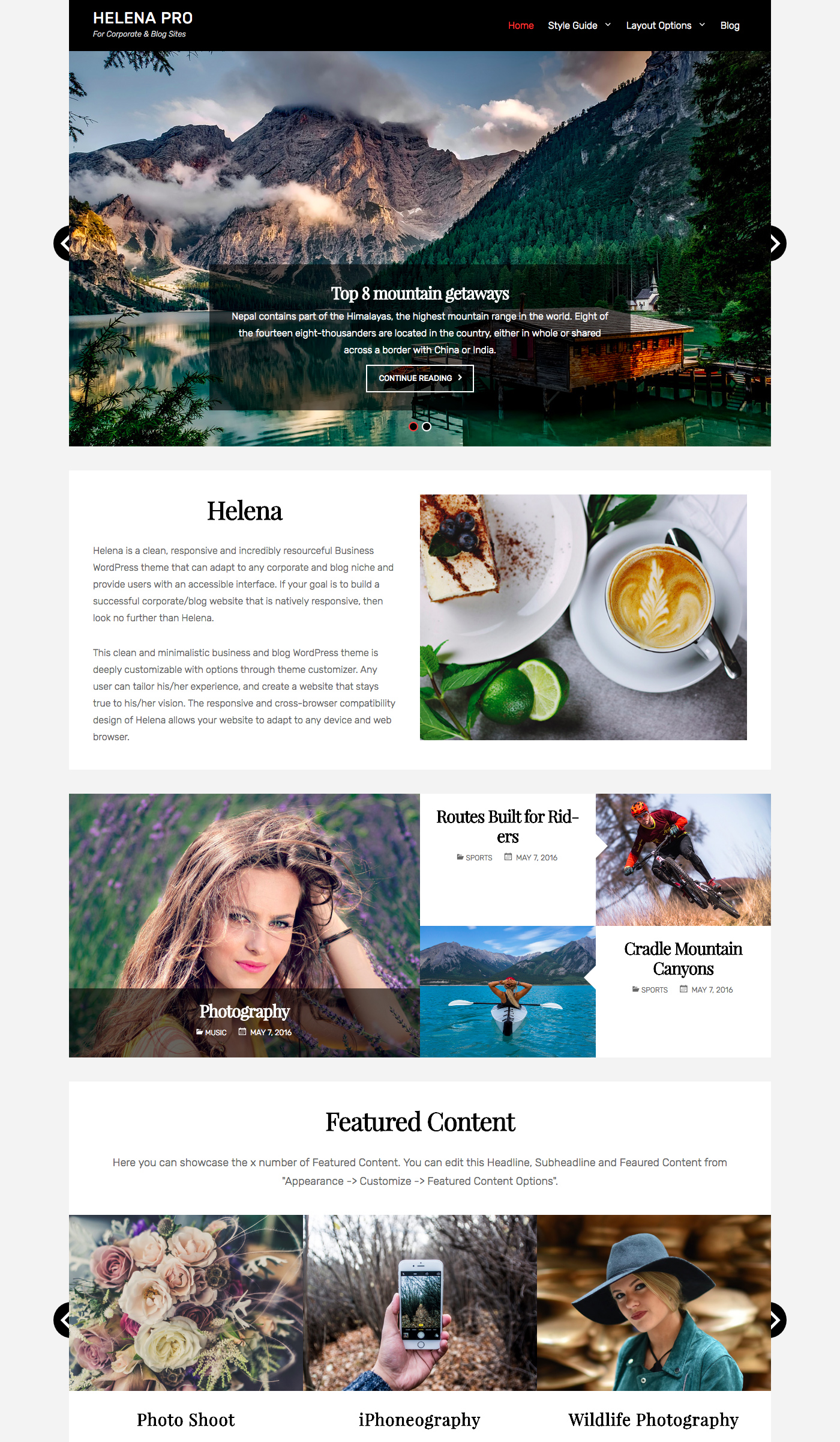 Helena - Free Business WordPress Theme - Freebie Supply
